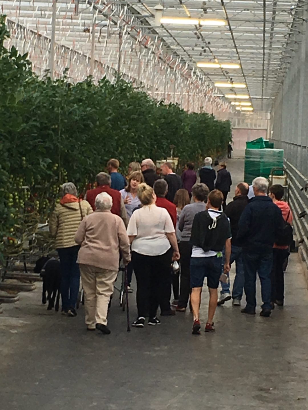 Annual Open Evening 2019 | Standhill Farm