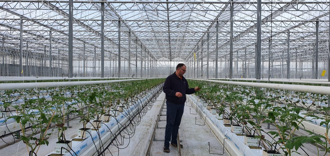 Growing Season 2021 | Standhill Farm