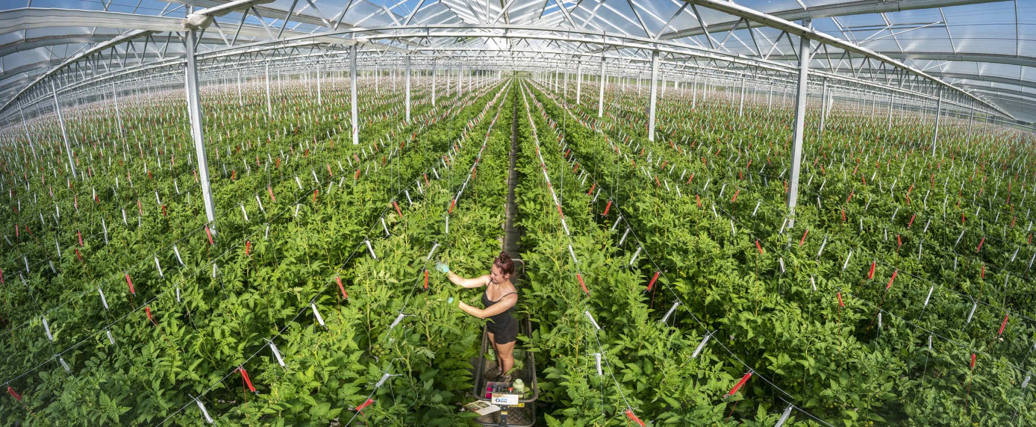 Standhill News – 2023 | Standhill Farm