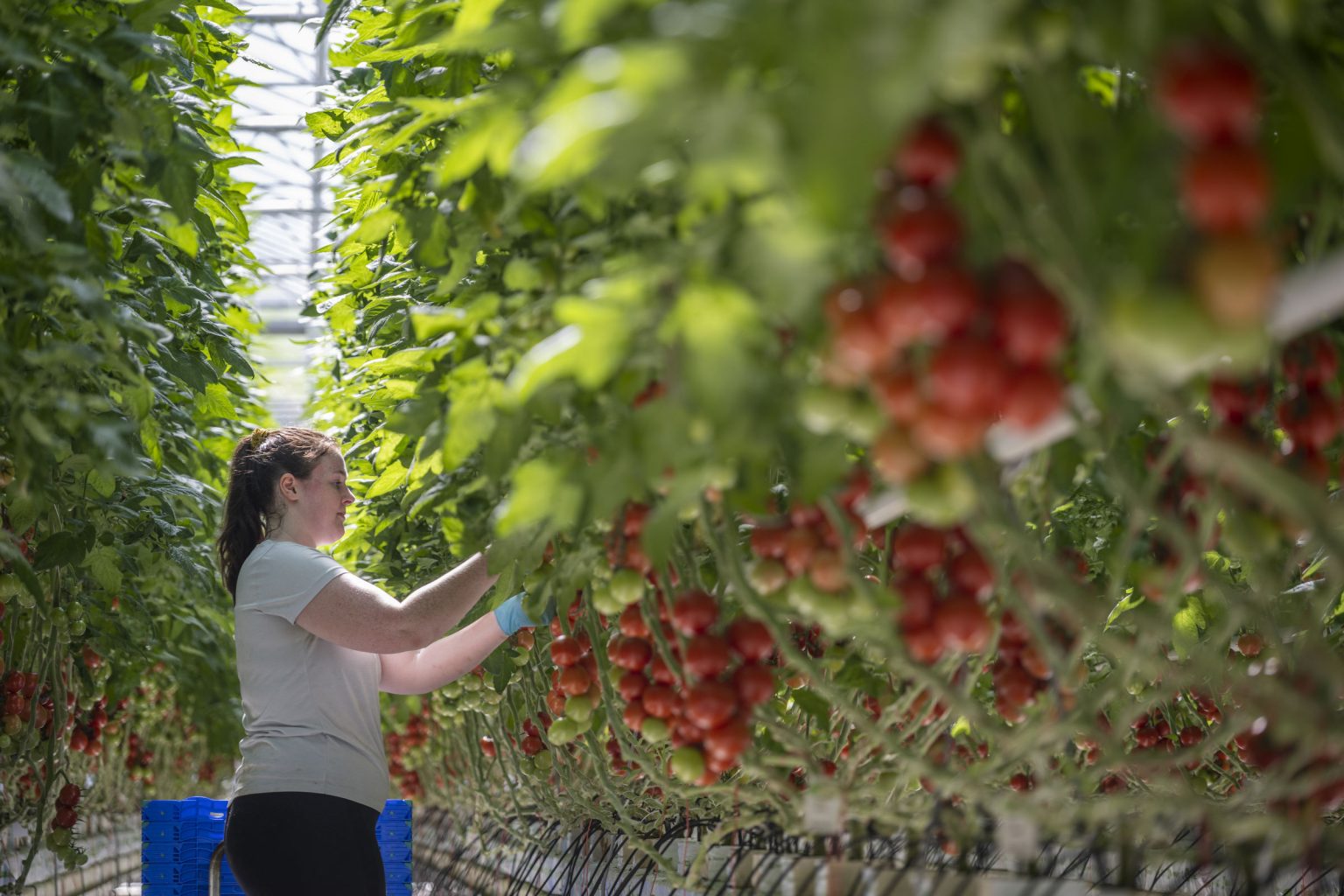 Standhill News – 2023 | Standhill Farm
