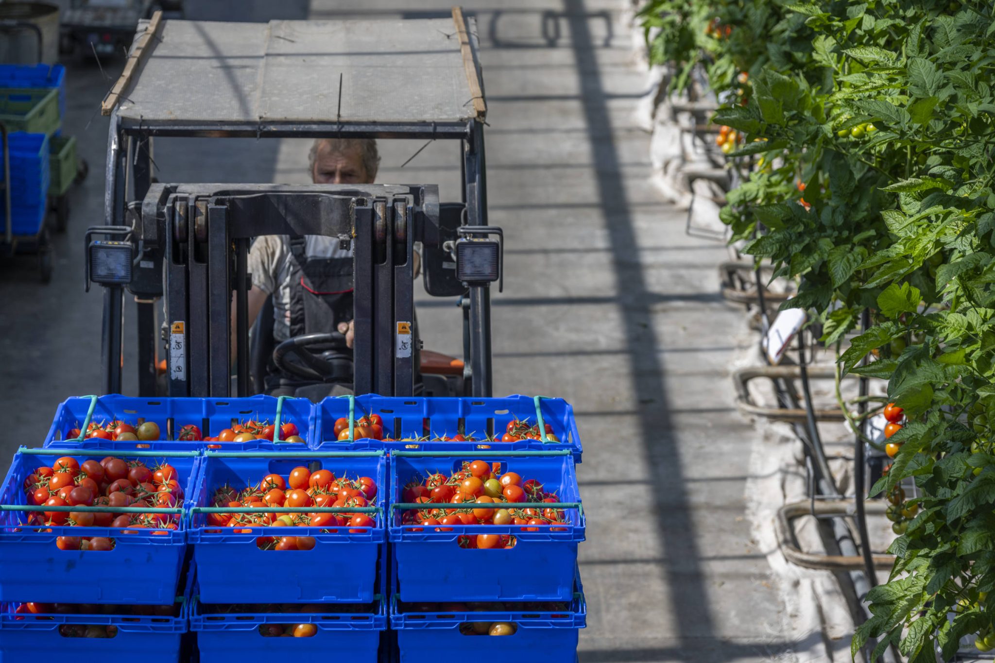 Standhill News – 2023 | Standhill Farm